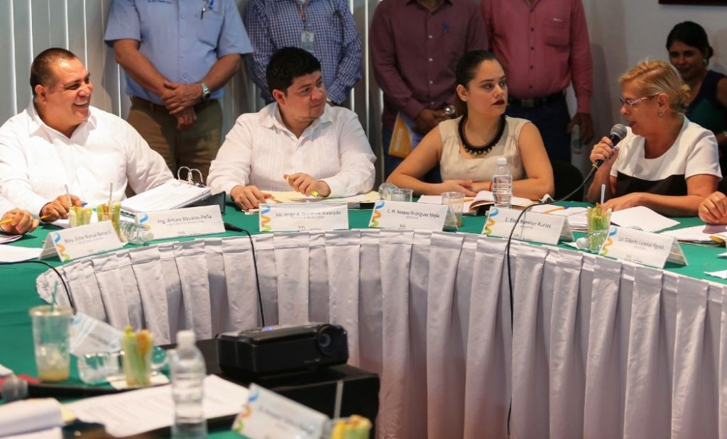 La regidora Elisa Ramírez Ruelas solicitó al pleno del gobierno ...